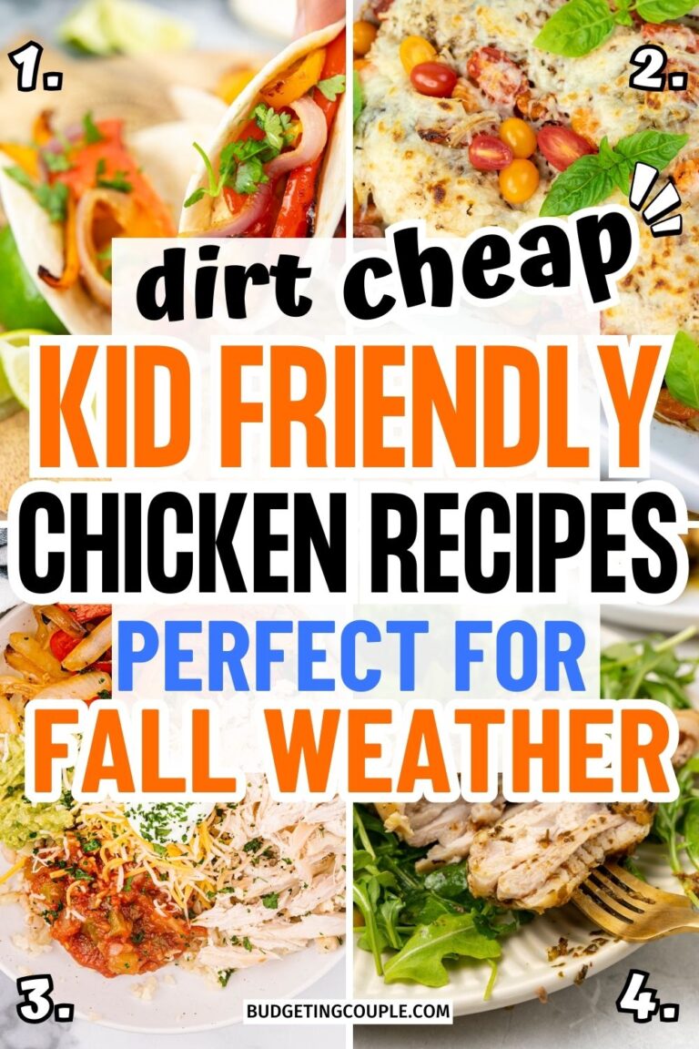 20 Cheap Chicken Recipes for Fall - Budgeting Couple