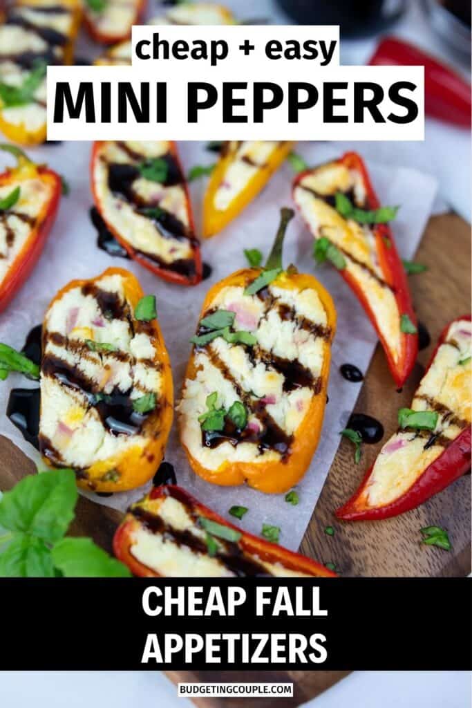20 Cheap Fall Appetizers - Budgeting Couple