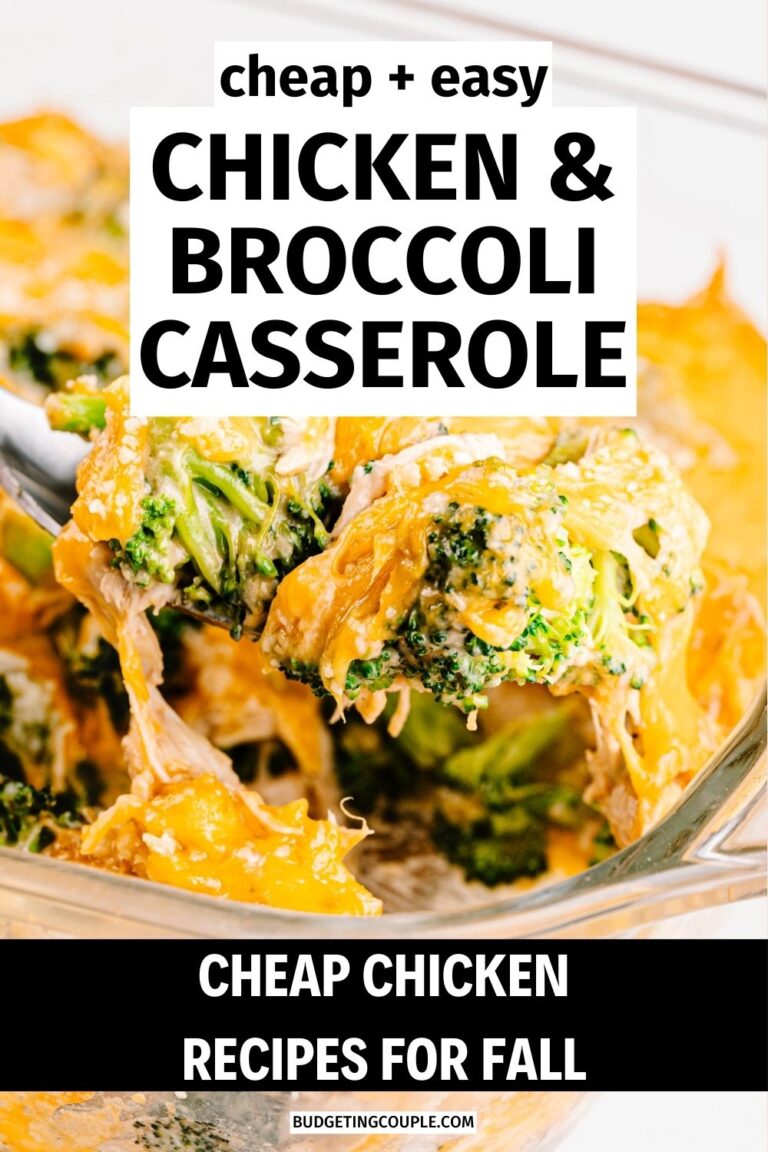20 Cheap Chicken Recipes for Fall - Budgeting Couple