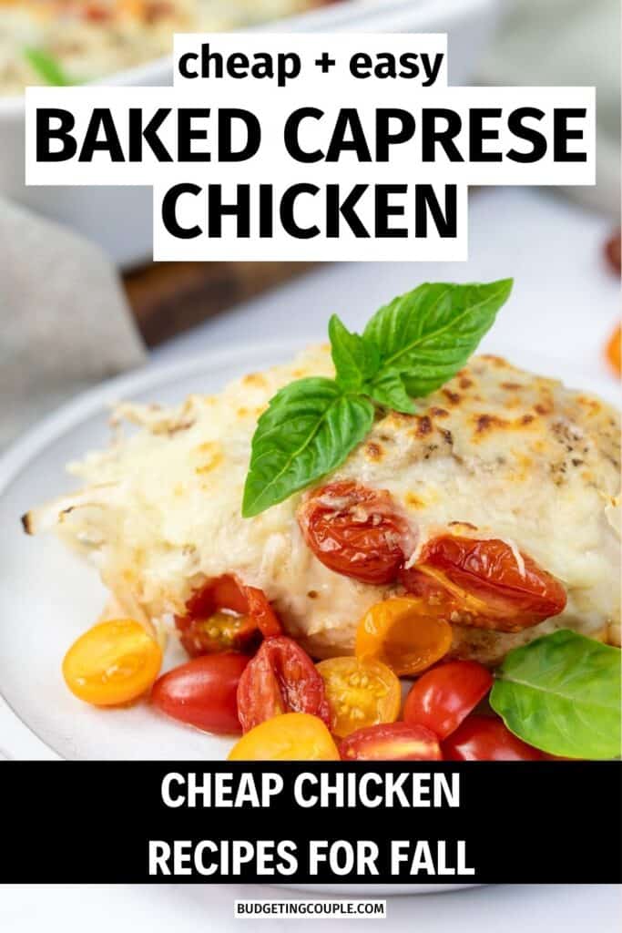 20 Cheap Chicken Recipes for Fall - Budgeting Couple