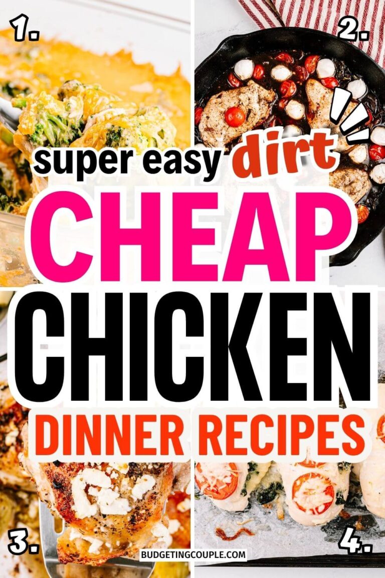 20+ Cheap Dinners For a Family - Budgeting Couple
