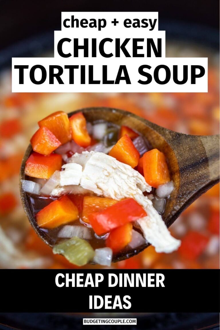 20+ Cheap Dinners For a Family - Budgeting Couple