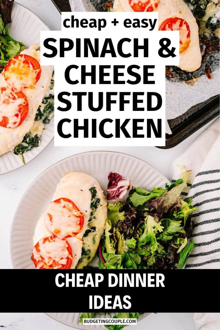 20+ Cheap Dinners For a Family - Budgeting Couple