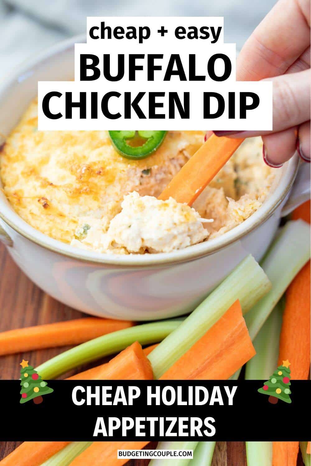 20 Cheap Holiday Appetizers - Budgeting Couple