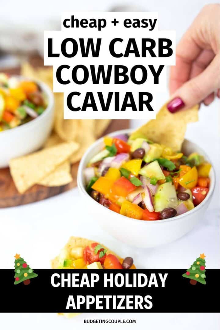 20 Cheap Holiday Appetizers - Budgeting Couple