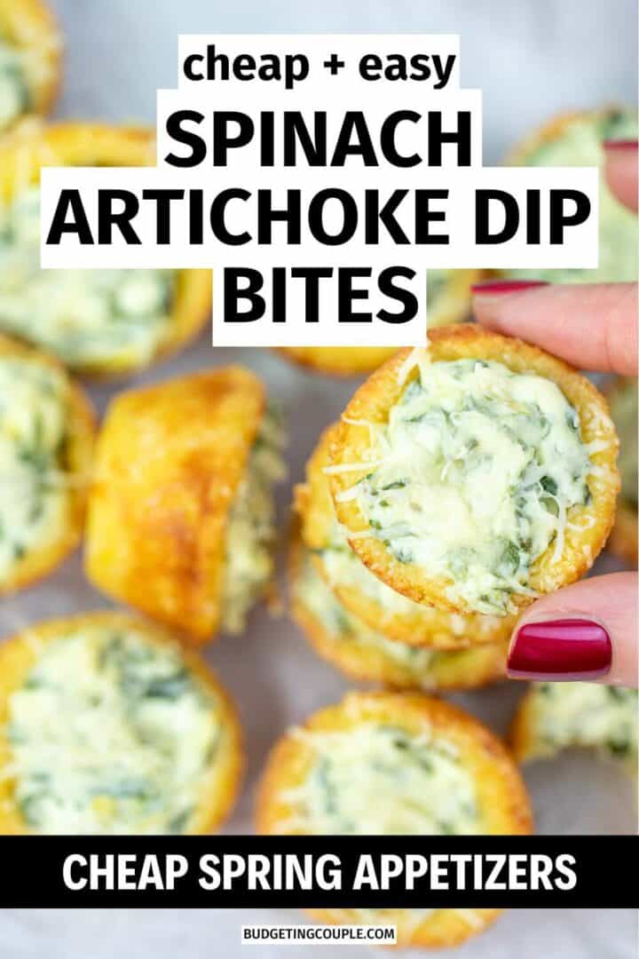20 Cheap Spring Appetizers - Budgeting Couple